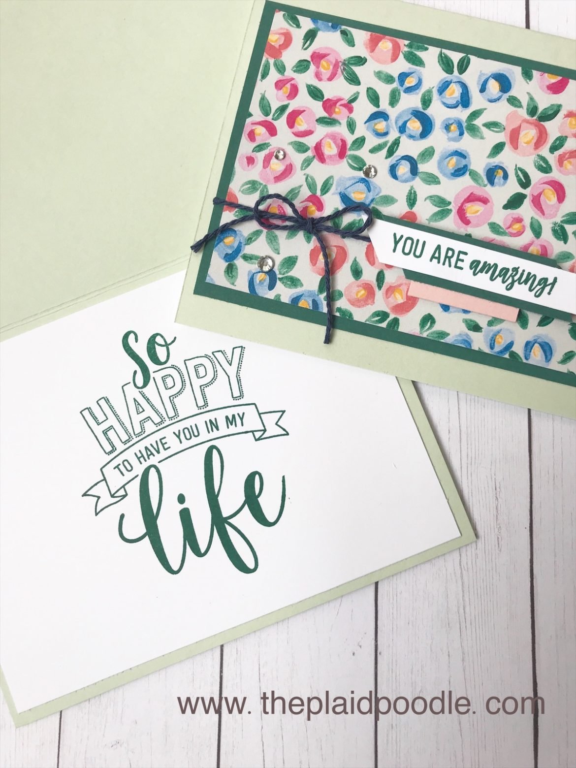 Amazing Life You are Amazing Card | The Plaid Poodle Papercrafting Company